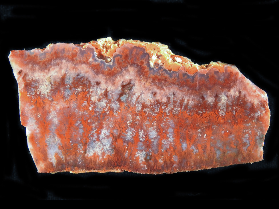 Forest Fire Plume Agate