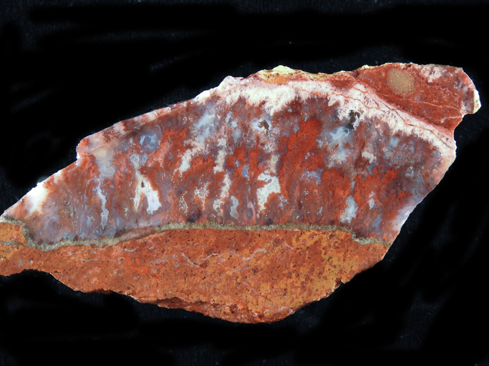 Forest Fire Plume Agate