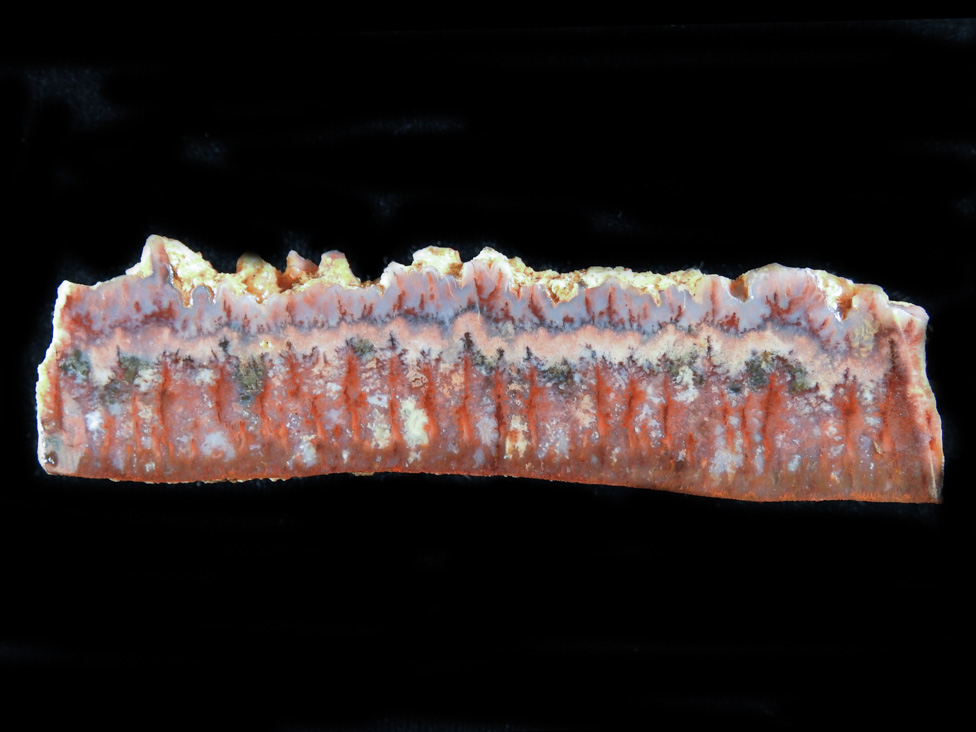 Forest Fire Plume Agate