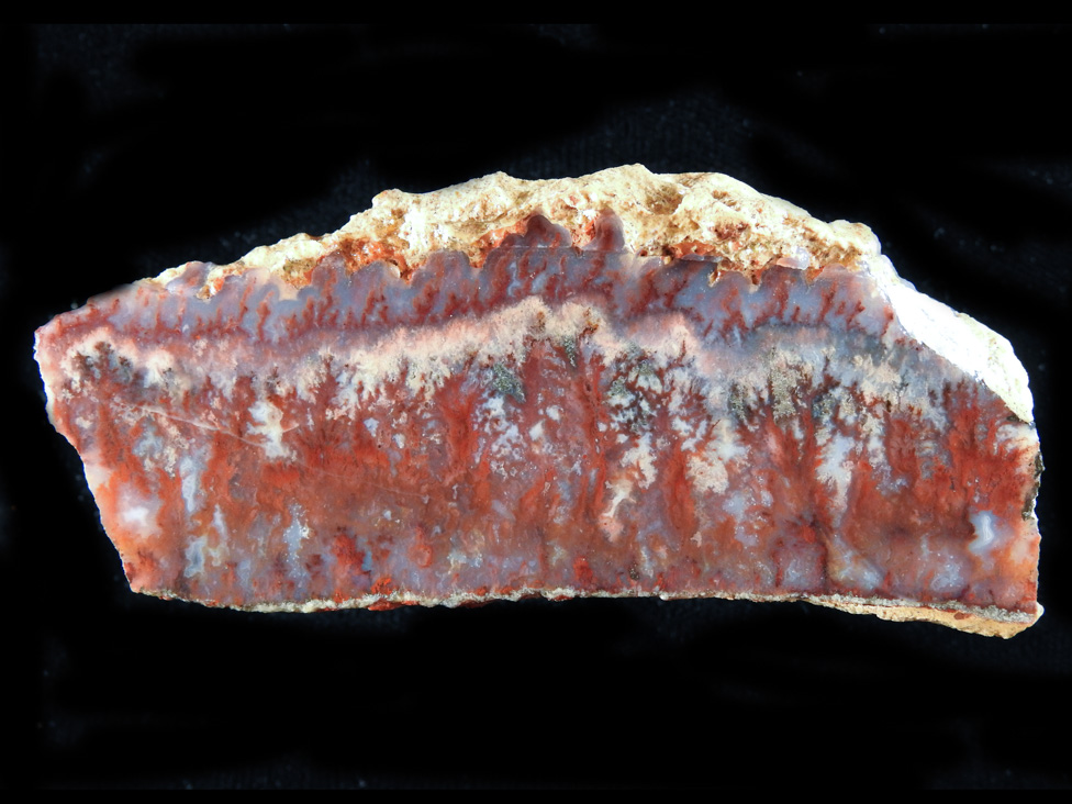 Forest Fire Plume Agate