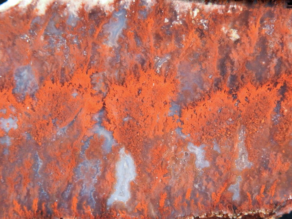 Forest Fire Plume Agate