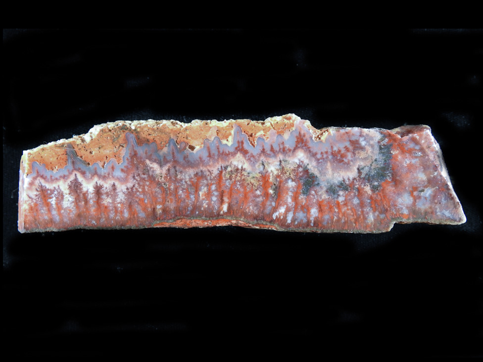 Forest Fire Plume Agate
