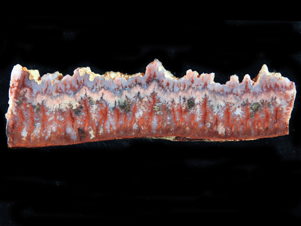 Forest Fire Plume Agate