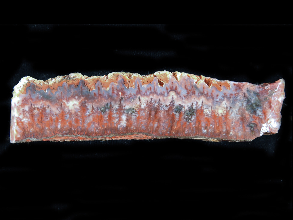 Forest Fire Plume Agate