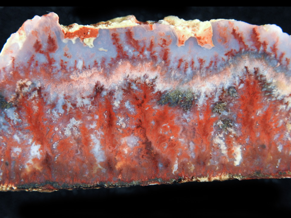 Forest Fire Plume Agate