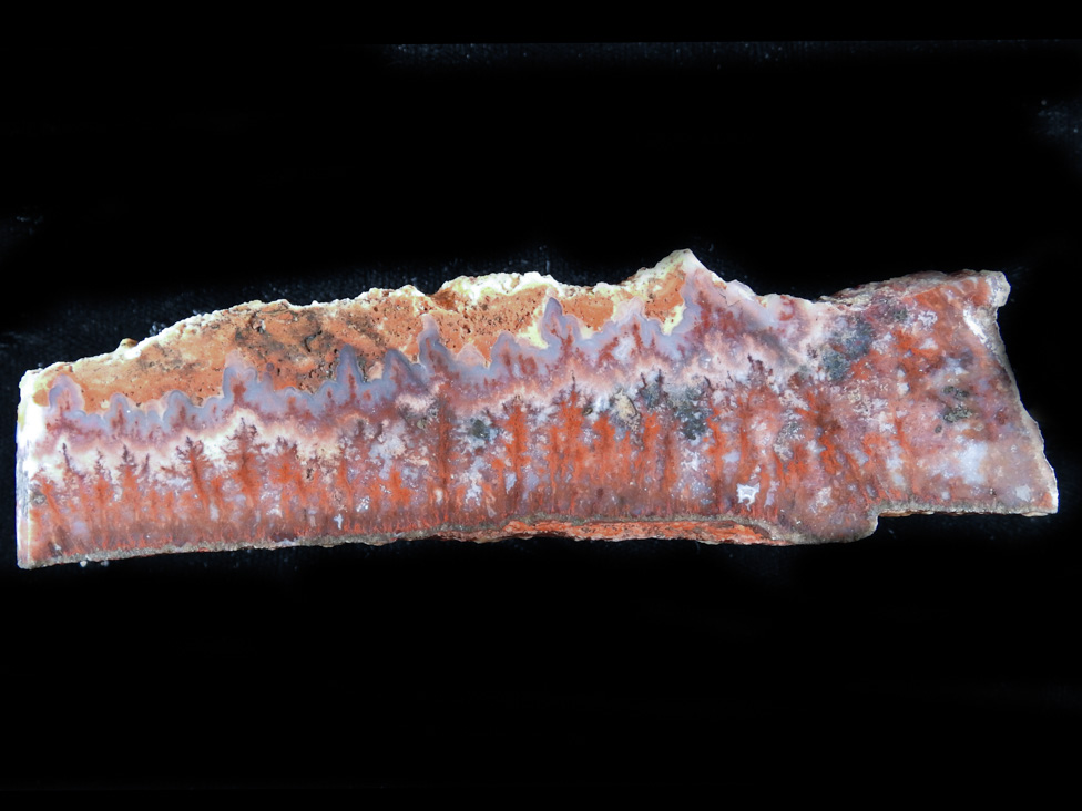 Forest Fire Plume Agate