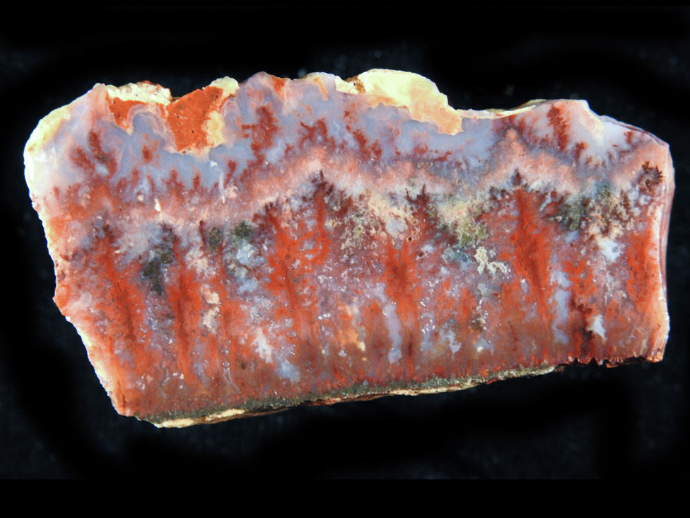 Forest Fire Plume Agate
